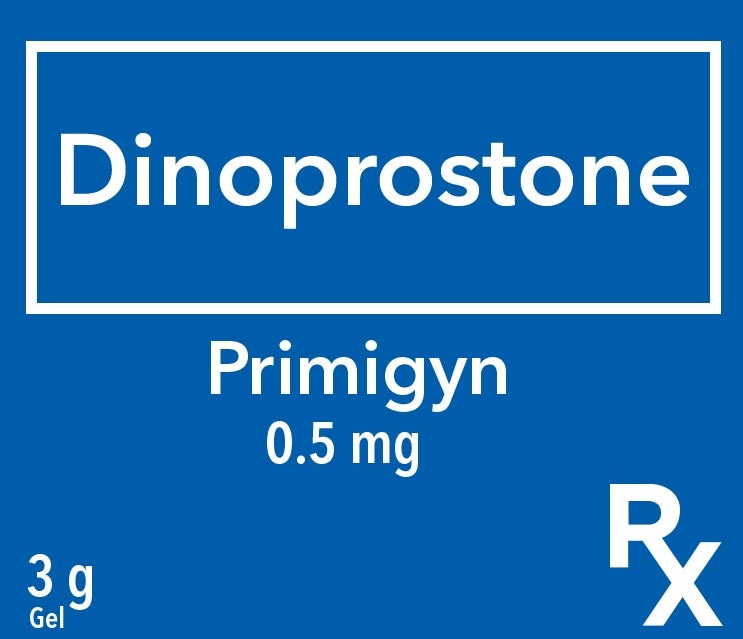 PRIMIGYN Dinoprostone 0.5g Cervical Gel 3g price in the Philippines ...
