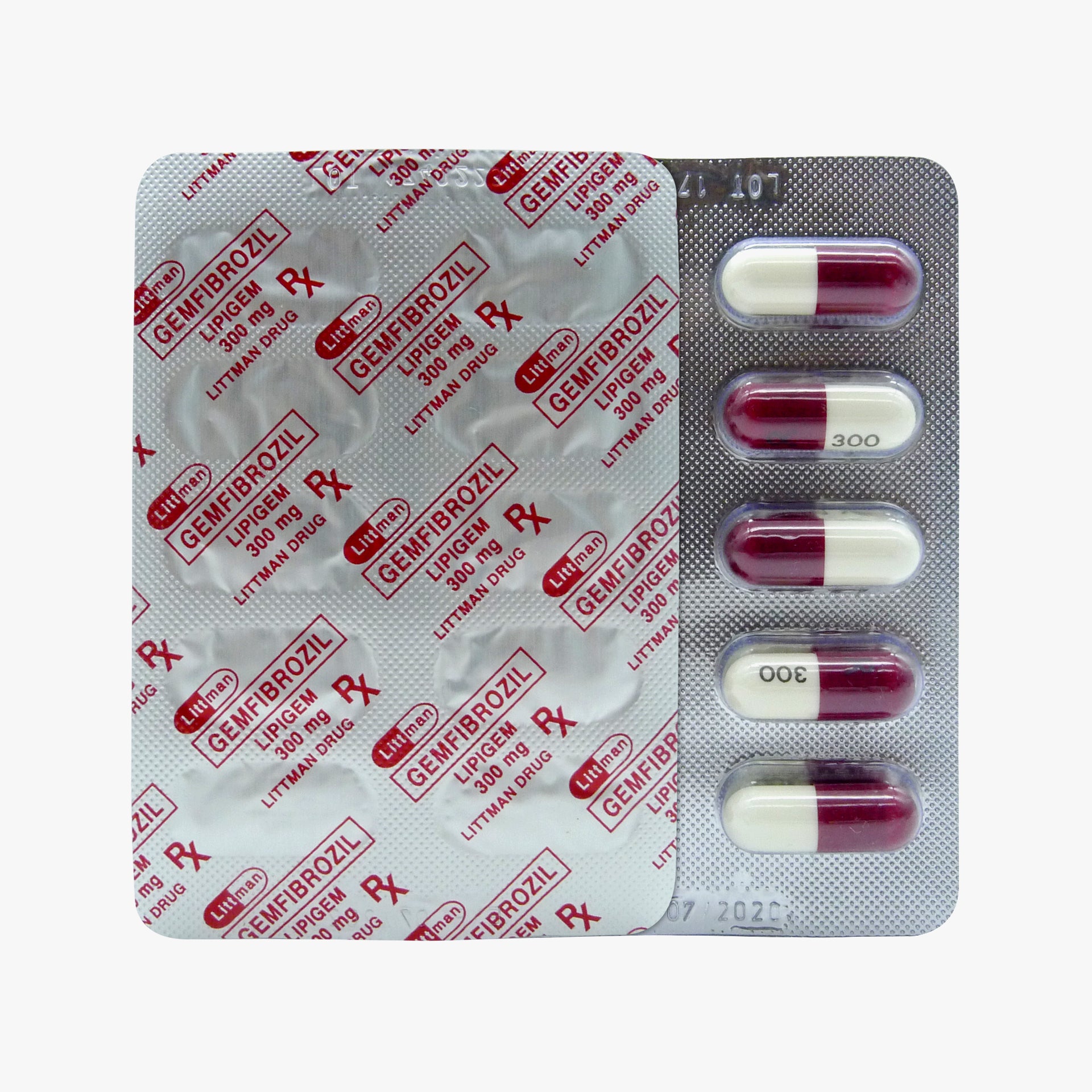 LIPIGEM Gemfibrozil 300mg Capsule 100's price in the Philippines ...