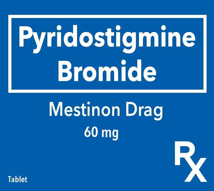 MESTINON Pyridostigmine Bromide 60mg Tablet 150's price in the ...
