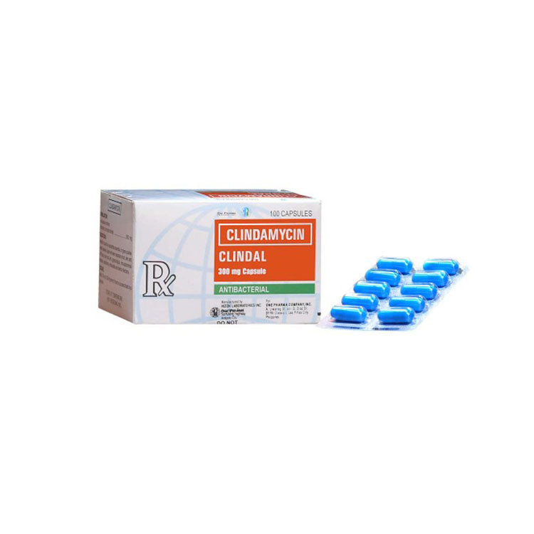 CLINDAL Clindamycin 300mg Capsule 1's price in the Philippines | MedsGo ...