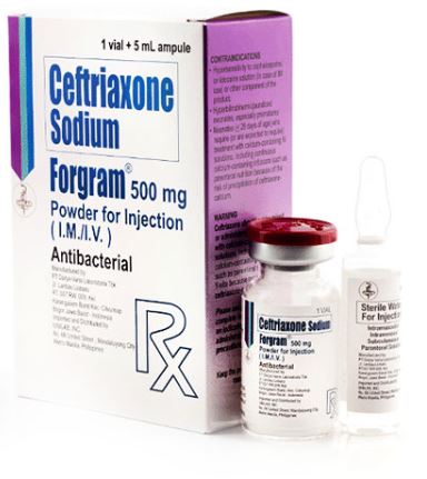 FORGRAM Ceftriaxone Sodium 500mg Powder for IM/IV Injection 5mL 1's ...