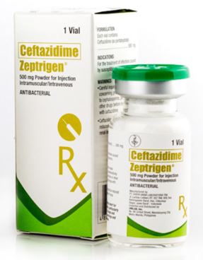 ZEPTRIGEN Ceftazidime 500mg Powder for IV/IM Injection 1's price in the ...