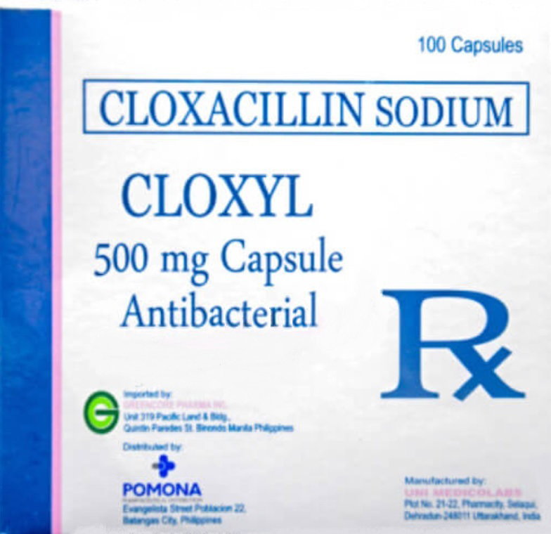 CLOXYL Cloxacillin Sodium 500mg Capsule 100's price in the Philippines ...