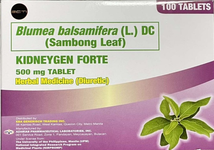 KIDNEYGEN FORTE Blumea Balsamifera (L.) DC (Sambong Leaf) 500mg Tablet ...