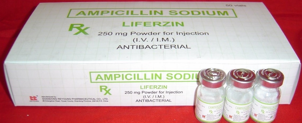 LIFERZIN Ampicillin Sodium 1g Powder for IM/IV Injection 50's price in ...