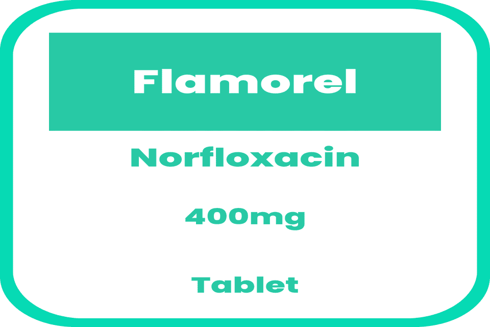 FLAMOREL Norfloxacin 400mg Tablet 100's price in the Philippines ...