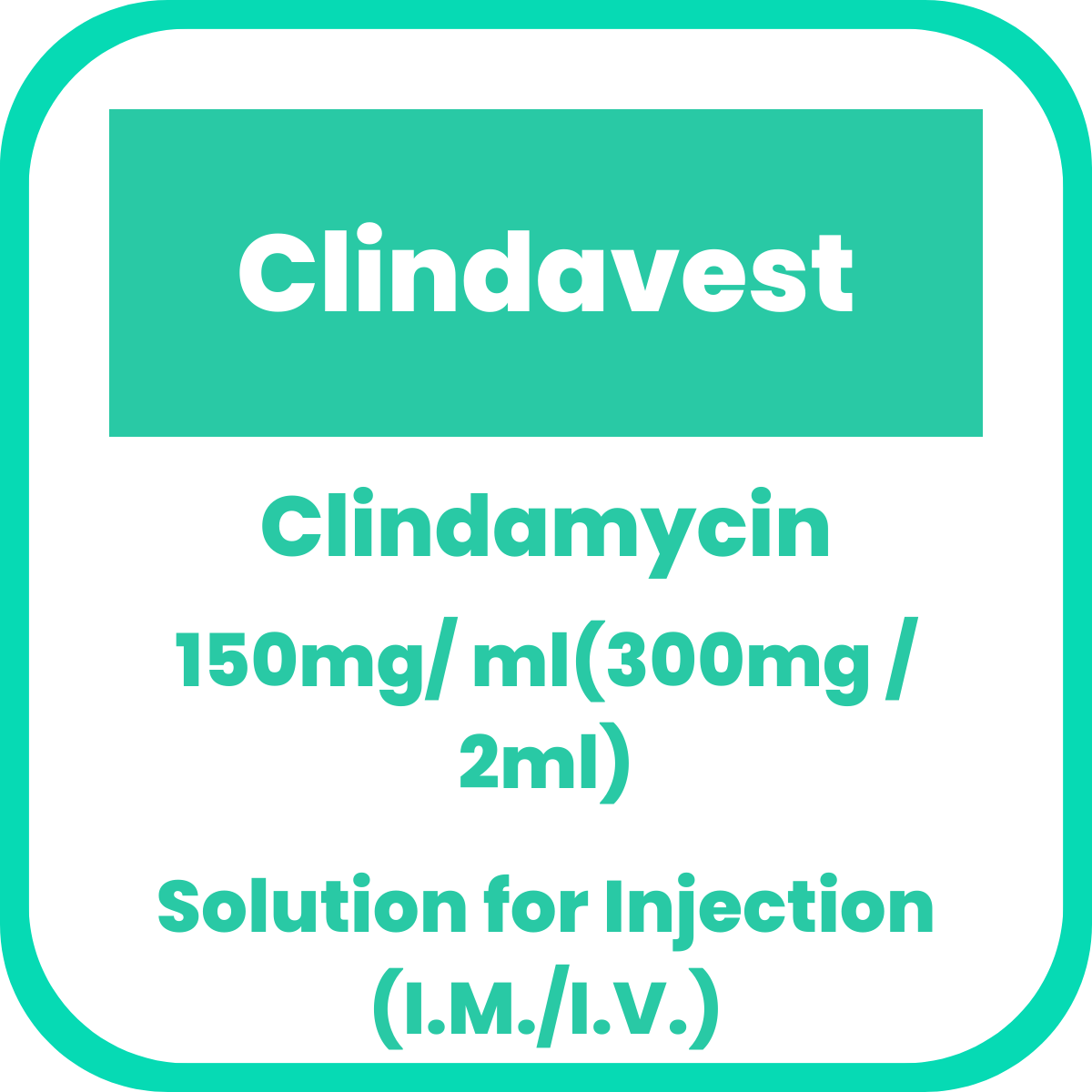 CLINDAVEST Clindamycin 150mg / mL (300mg / 2mL) Solution for IM/IV ...