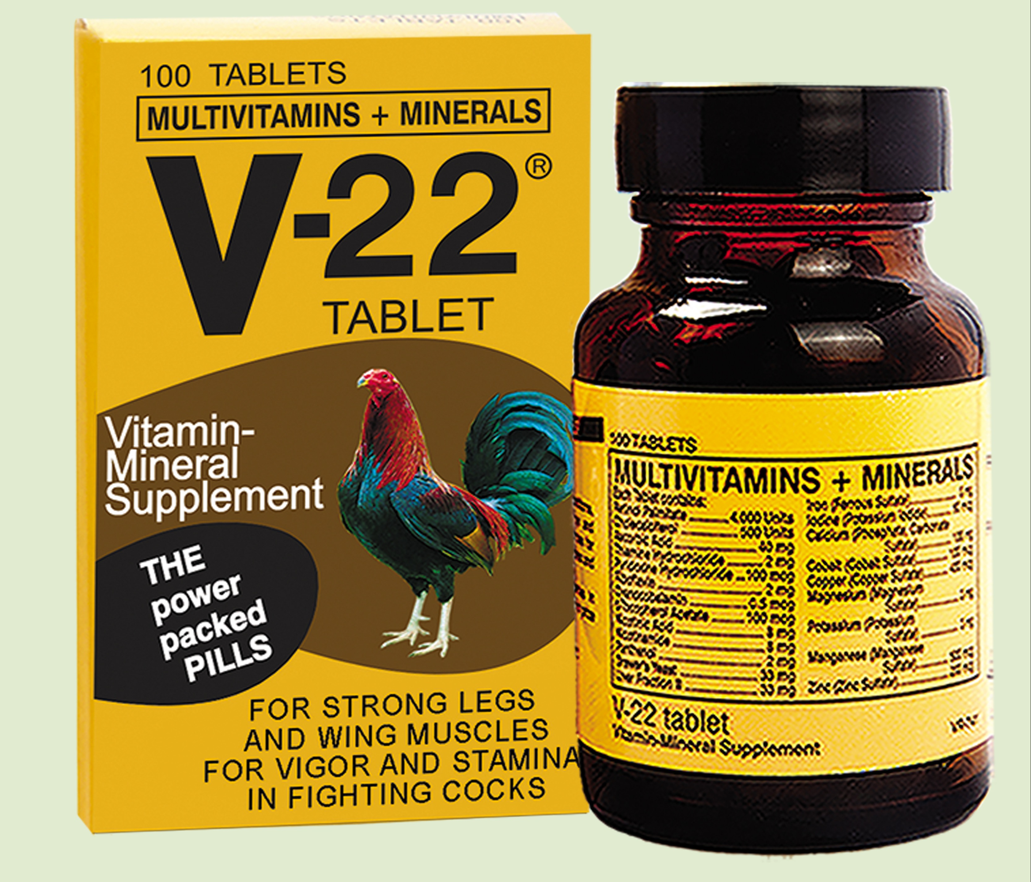 LAKING V-22 VITATABLETS Multivitamins / Minerals Tablet 100's price in ...
