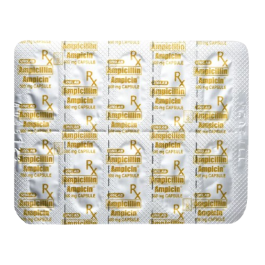 AMPICIN Ampicillin 500mg Capsule 1's price in the Philippines | MedsGo ...