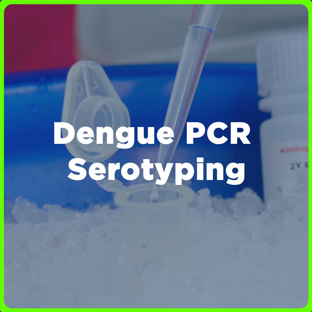 Dengue PCR / Serotyping (Qualitative) price in the Philippines | MedsGo ...