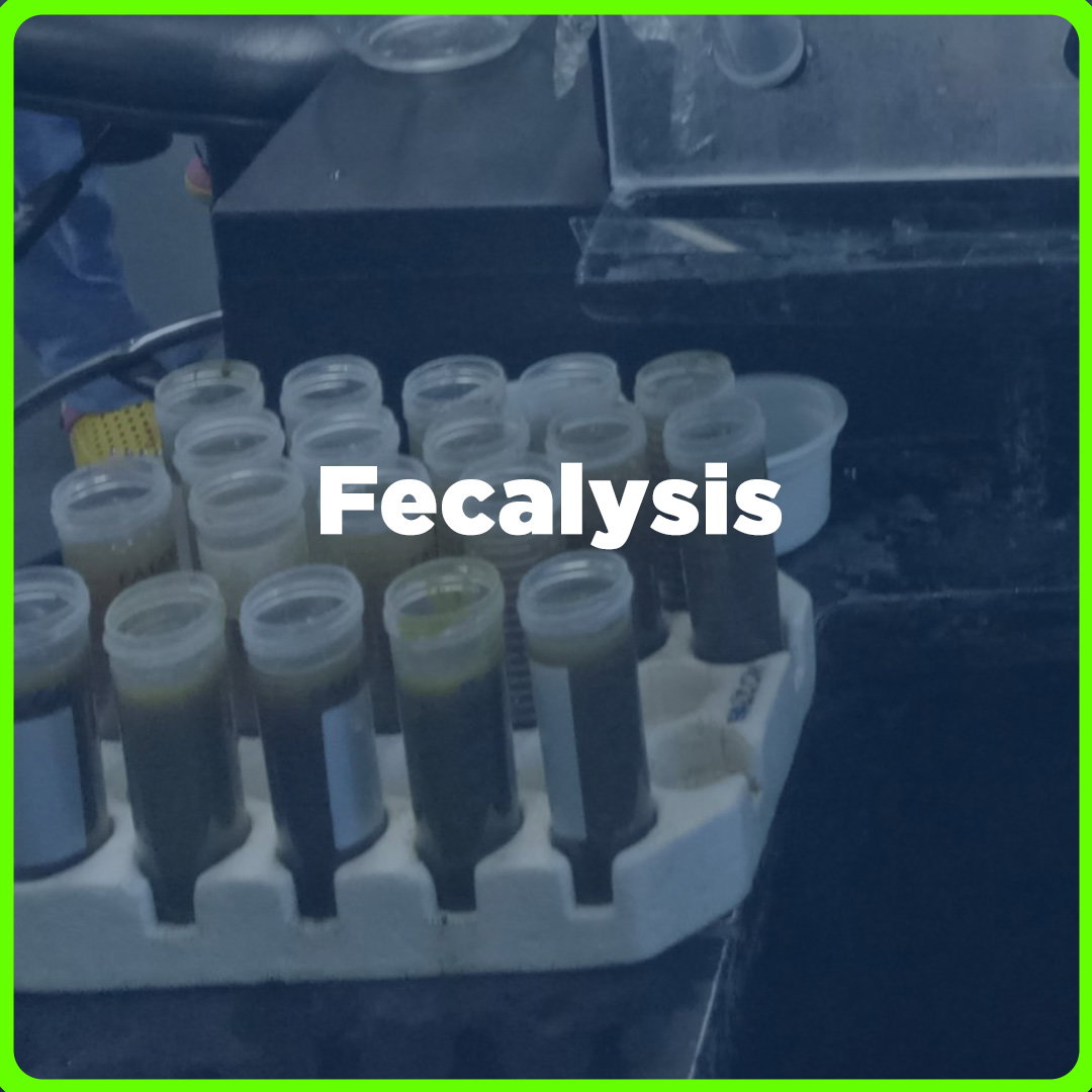 Fecalysis price in the Philippines | MedsGo Pharmacy