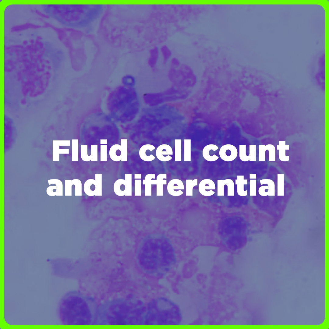 Fluid Cell Count and Differential Count price in the Philippines ...