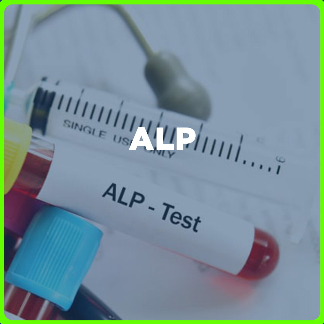 ALP price in the Philippines | MedsGo Pharmacy