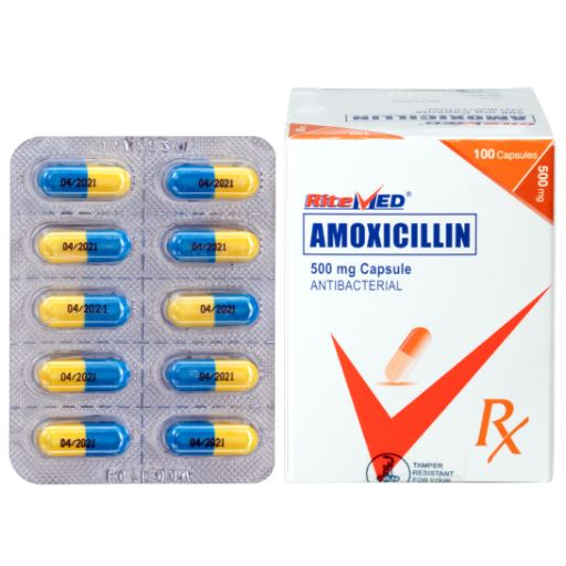 RITEMED Amoxicillin 500mg Capsule 1's price in the Philippines | MedsGo ...