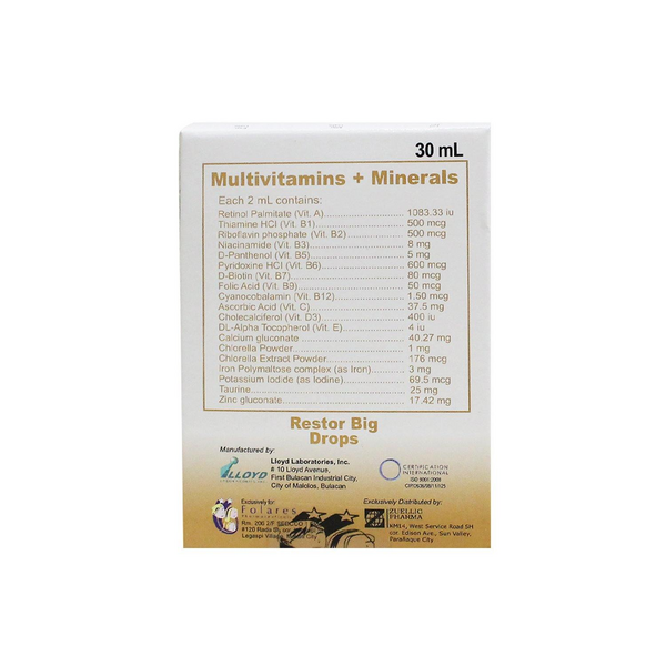 RESTOR BIG Multivitamins / Minerals Syrup (Oral Drops) 30mL price in ...