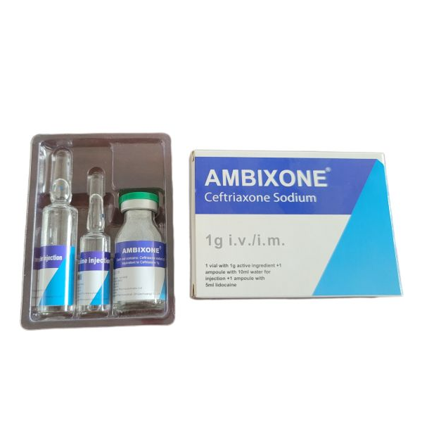 CEFTRIREX Ceftriaxone 1g Powder for IM/IV Injection 10mL price in the ...
