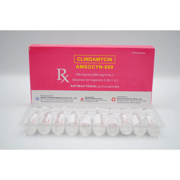 AMSOCYN-600 Clindamycin Phosphate 150mg / mL (600mg / 4mL) Solution For ...