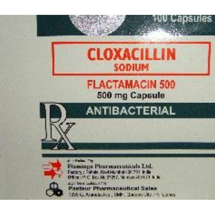 FLACTAMACIN 500 Cloxacillin Sodium 500mg Capsule 100's price in the ...